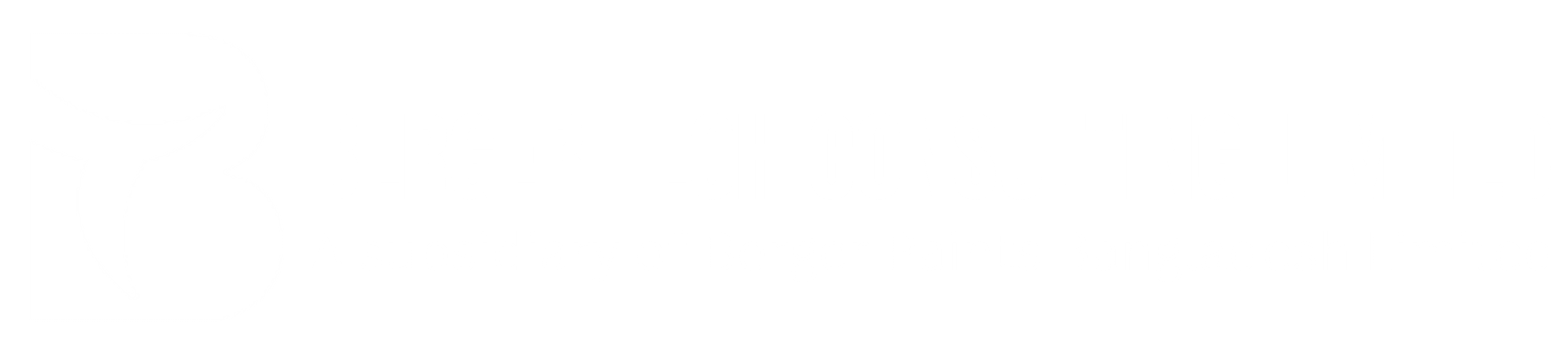Berger Tech Consulting Ltd.